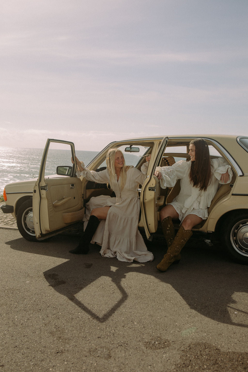 All – confettibird